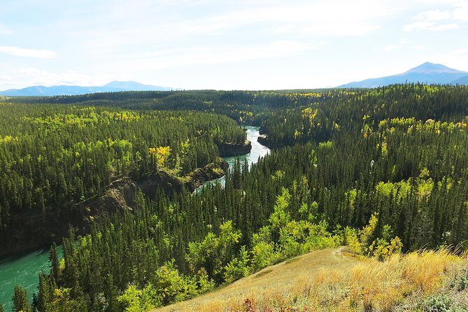 Arctic Day: Hiking Tour | half day - An In-Depth Look at the Arctic Day Hiking Tour