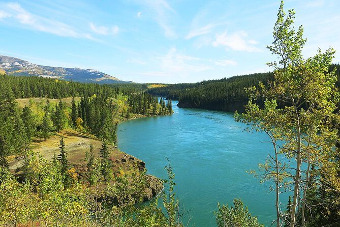 Arctic Day: Hiking Tour | half day - The Sum Up