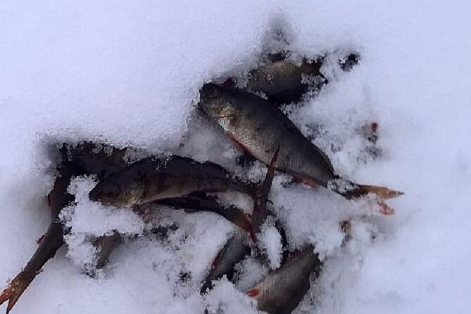 Arctic Day With Ice Fishing and Floating - Ice Fishing Adventure