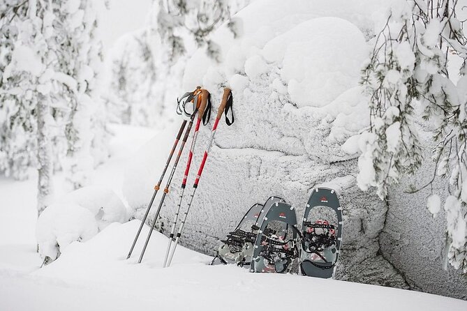 Arctic Day With Ice Fishing and Floating - Pricing and Booking Details