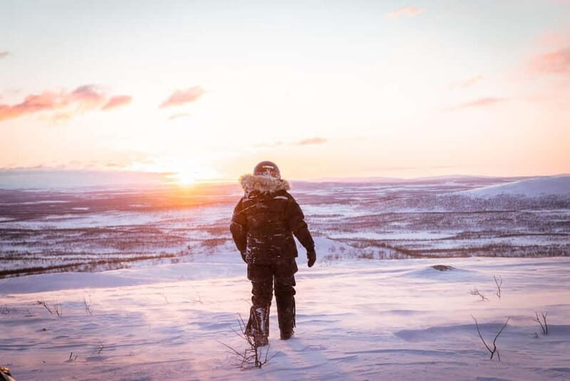 Arctic Dream - Snowmobile Safari to Lapland Viewpoint - Who Will Appreciate This Tour?