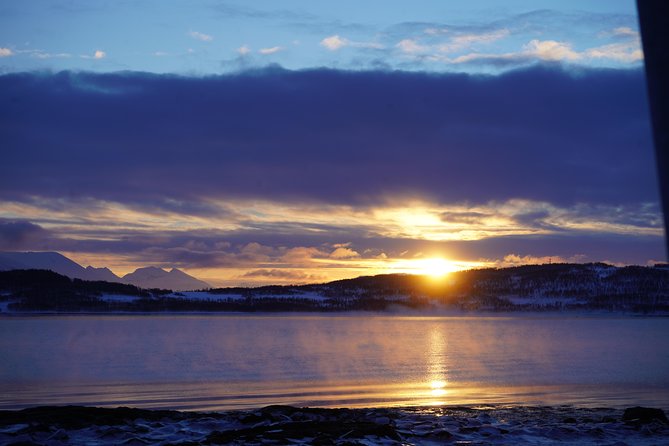 Arctic Fjord and Landscape Tour - Small Group Experience