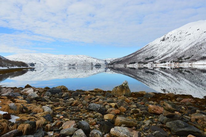 Arctic Fjord and Landscape Tour - Customer Experiences and Feedback