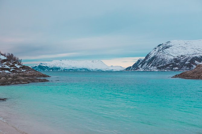 Arctic Fjord Sightseeing by Minibus - Comfortable and Equipped Transport