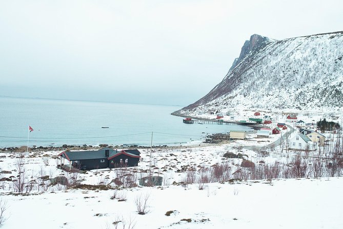Arctic Fjord Sightseeing by Minibus - Unforgettable Wildlife Encounters
