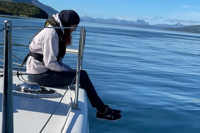 Arctic Fjordcruise & Safari in Tromso With Luxury Catamaran - Onboard Amenities for a Comfortable Journey