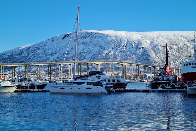 Arctic Fjordcruise & Safari in Tromso With Luxury Catamaran - Traveler Feedback and Experiences