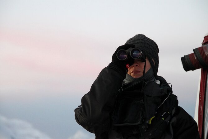 Arctic Fjordcruise & Safari in Tromso With Luxury Catamaran - Accessibility and Logistics