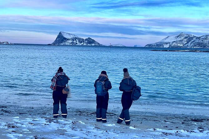 Arctic Fjords and Reindeer Experience – Small Group Tour - - Traveler Reviews