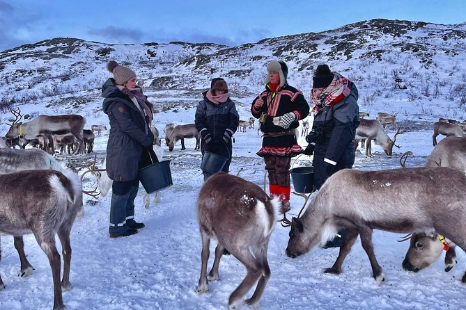 Arctic Fjords and Reindeer Experience – Small Group Tour - - Picturesque Norwegian Landscapes