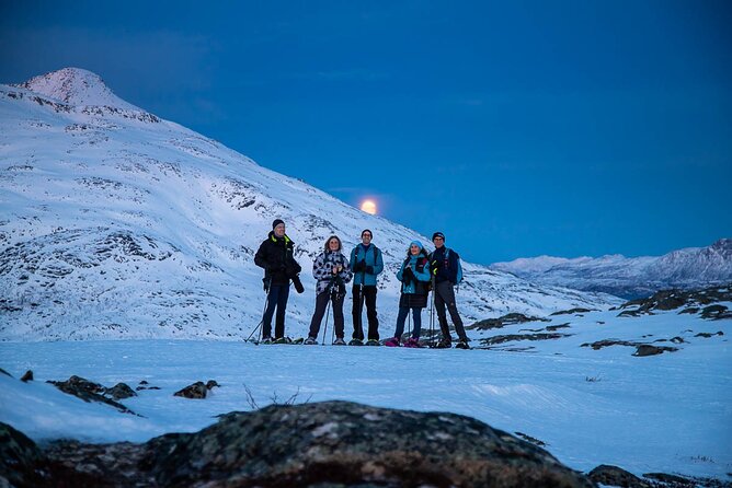 Arctic Landscapes Hiking Tour - Sightseeing & Snowshoeing, Tromsø - Why Choose This Tour?