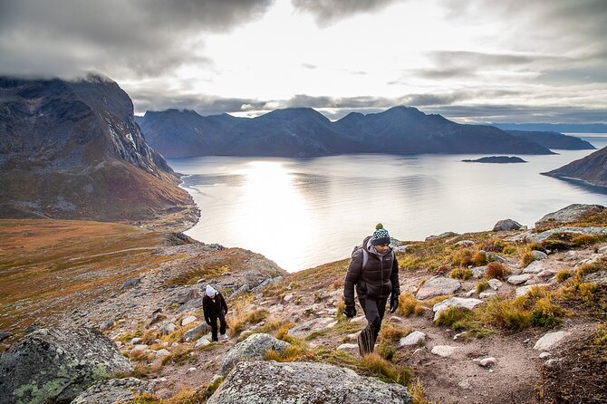 Arctic Landscapes Hiking Tour - Sightseeing & Snowshoeing, Tromsø - Since You Asked