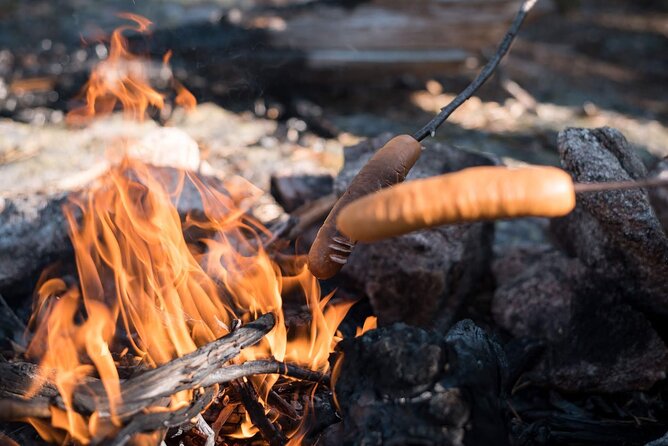 Arctic Midnight Sun Picnic from Rovaniemi - Key Points