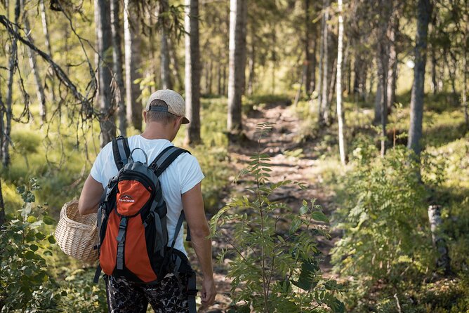 Arctic Midnight Sun Picnic from Rovaniemi - Final Thoughts: Who Will Love This Tour?