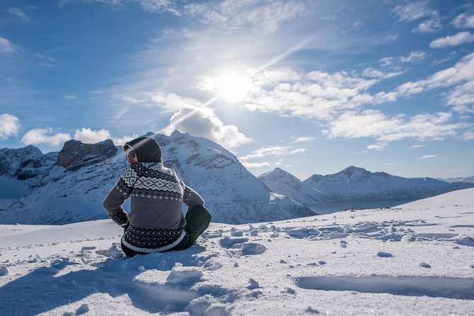 Arctic Nature Photography Sightseeing Tour from Tromso - The Value for Money