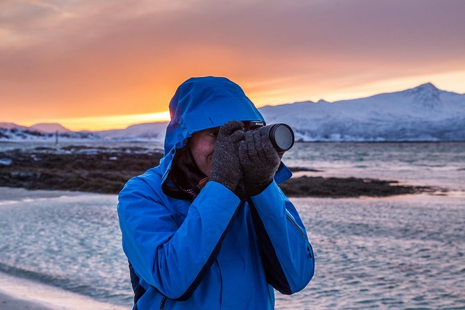 Arctic Nature Tour from Tromsø by minibus - The Value Proposition