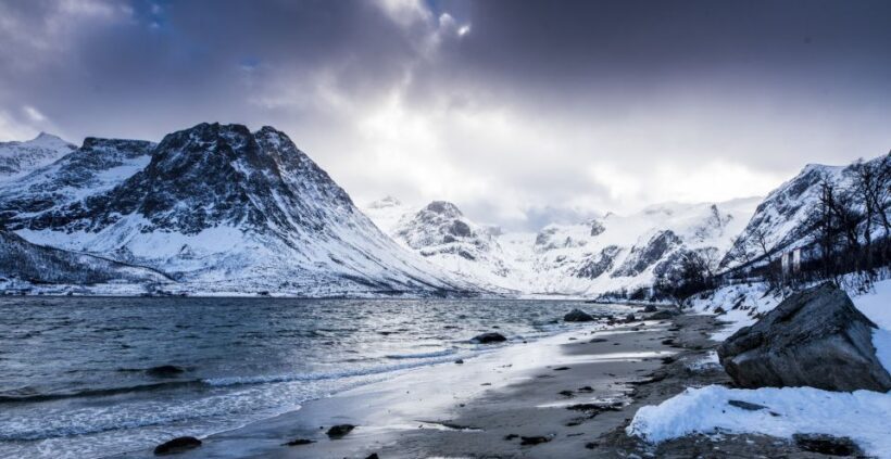 Arctic Nature Tour from Tromsø - An In-Depth Review of the Arctic Nature Tour from Tromsø