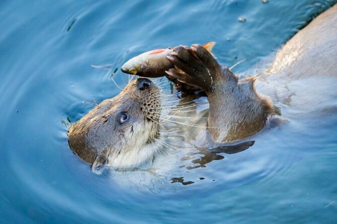 Arctic Polar Bear Adventure Afternoon Trip - Who Is This Tour Best For?