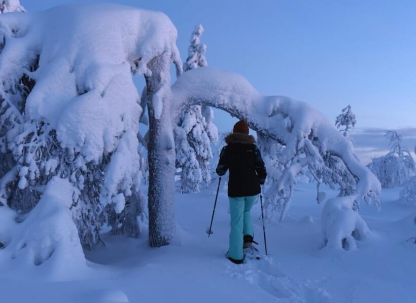 Arctic Reindeer Farm Experience with Snowshoeing in the Wild - Key Points