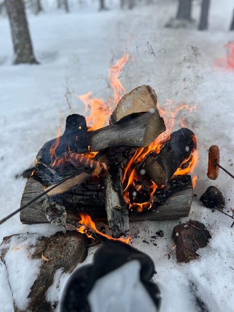 Arctic Reindeer Farm Experience with Snowshoeing in the Wild - The Experience of the Guide