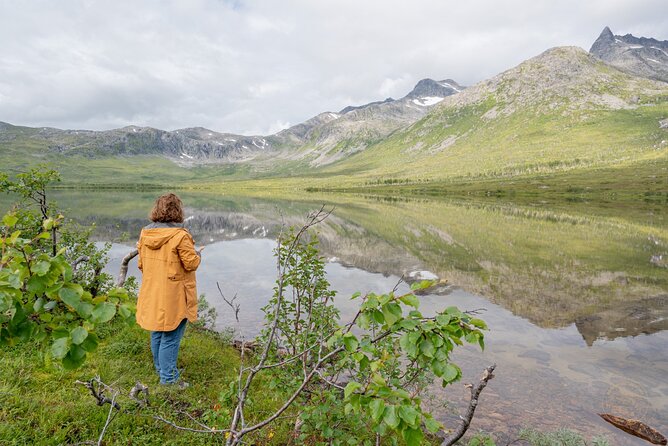 Arctic Roadtrip: Fjords With Scenic Picnic | Private - Traveler Experience