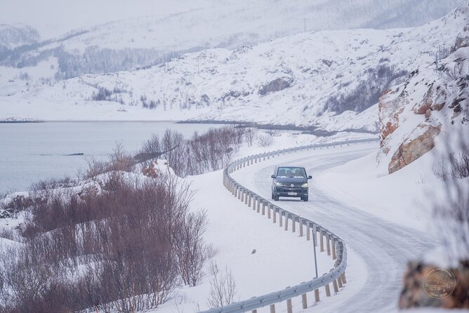 Arctic Roadtrip: Fjords With Scenic Picnic | Private - Booking Information