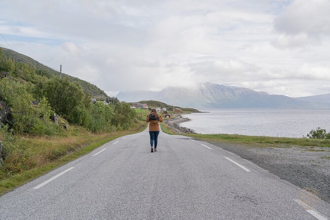 Arctic Roadtrip: Fjords With Scenic Picnic | Private - Exploring the Islands of Kvaløya and Sommarøy