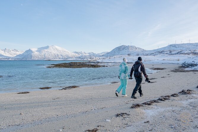Arctic Roadtrip: Fjords With Scenic Picnic | Private - Enjoying the Scenic Picnic Amidst the Fjords