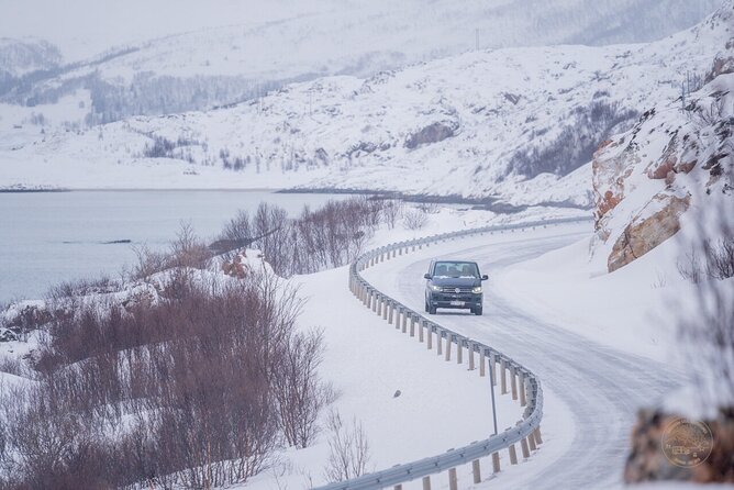 Arctic Roadtrip: Fjords With Scenic Picnic | Small Group 4x4 Van - Child and Family Information