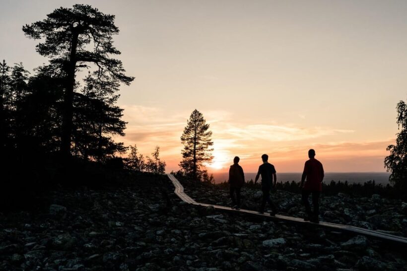 Arctic Wilderness Hike from Rovaniemi (Midnight sun/Sunset) - Practical Details and Considerations