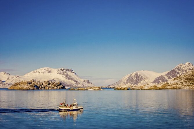 Arctic Wildlife and Fjord Sightseeing - Personalized Tour Experience