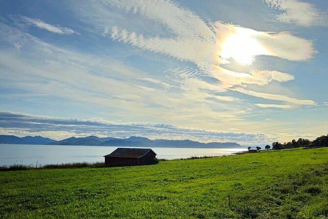 Arctic Wildlife and Fjord Sightseeing - Included Amenities and Dining