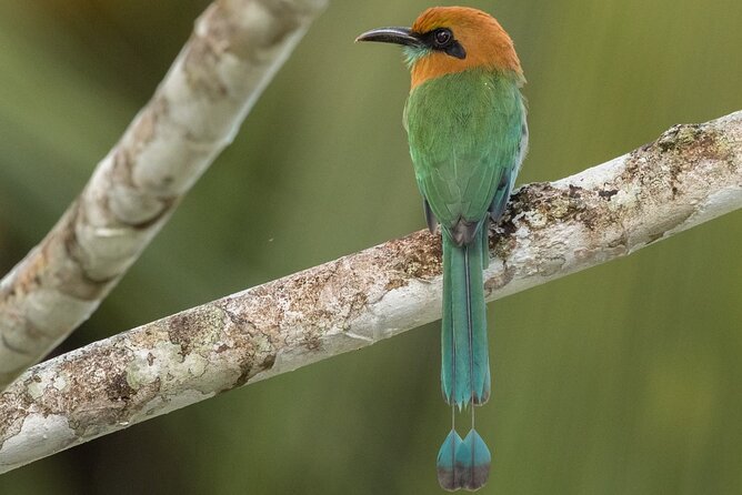 Arenal Full Day Tour - Booking Information