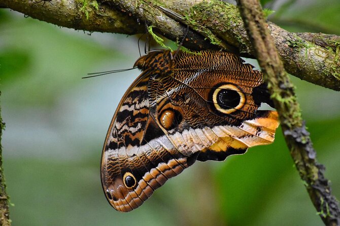Arenal Full Day Tour - Getting to the Meeting Point