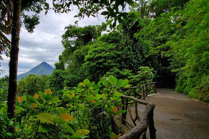 Arenal Full Day Tour - What to Expect on the Tour