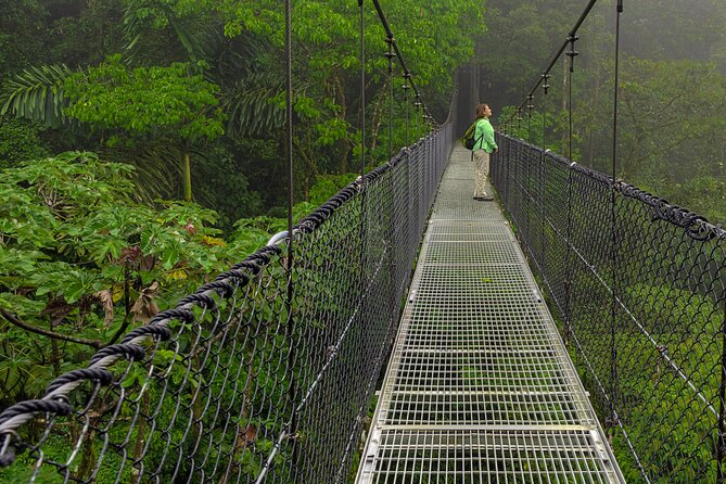 Arenal Hanging Bridges, Guided Walk, Hot Springs Optional - Tour Overview and Highlights