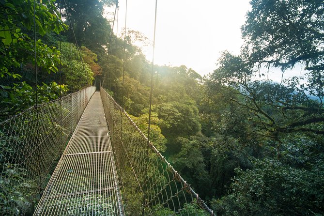 Arenal Hanging Bridges Hiking Tour - Highlights of the Experience