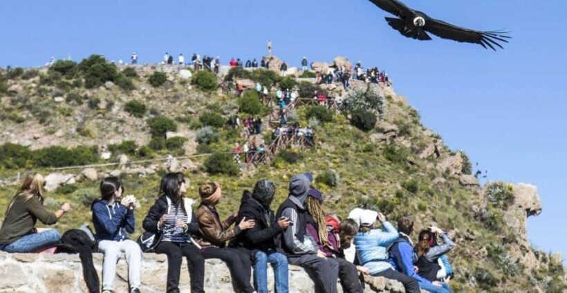 Arequipa: Full Day Colca Canyon Tour with transfer to Puno - Who Should Consider This Tour?