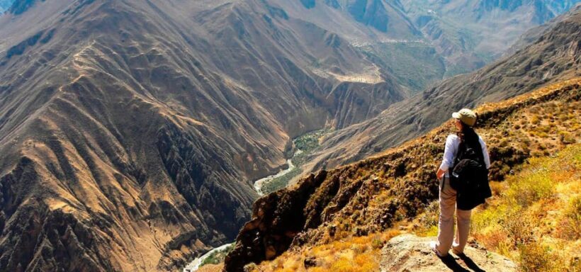 Arequipa: Full Day Colca Canyon Tour with transfer to Puno - FAQ