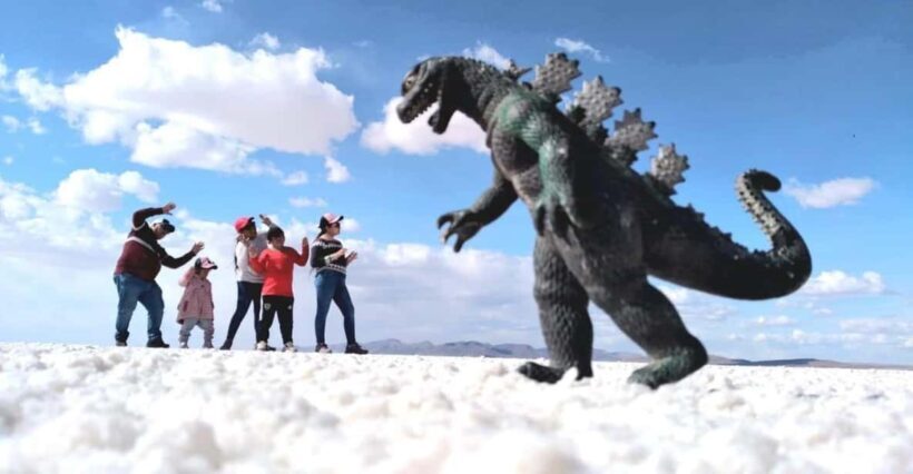 Arequipa: Full-Day Tour to Salinas Salt Lake - Key Points