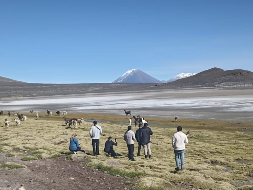Arequipa: Full-Day Tour to Salinas Salt Lake - Final Thoughts