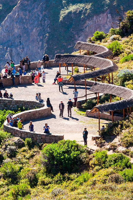 Arequipa: Fullday Colca Canyon + Lunch + Transfer to Puno - The Sum Up