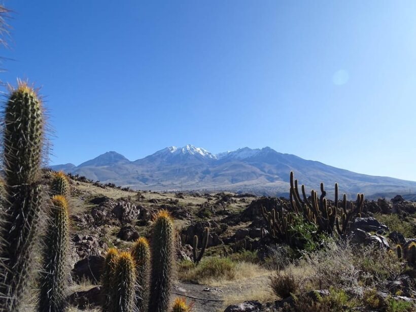 Arequipa: Las Rocas Park and Chilina Valley Bike Tour - Whats Not Included?