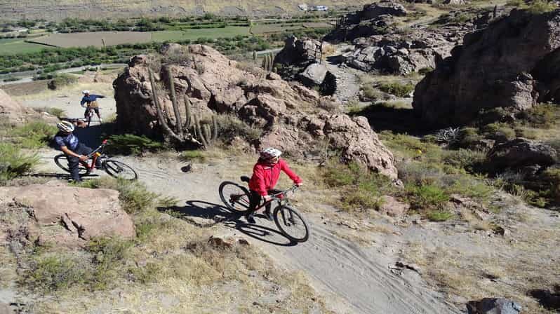 Arequipa: Las Rocas Park and Chilina Valley Bike Tour - Final Thoughts