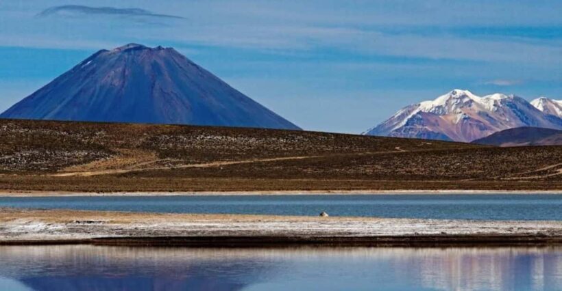 Arequipa | Salinas Lagoon and lojen thermal baths - Transportation and Group Size