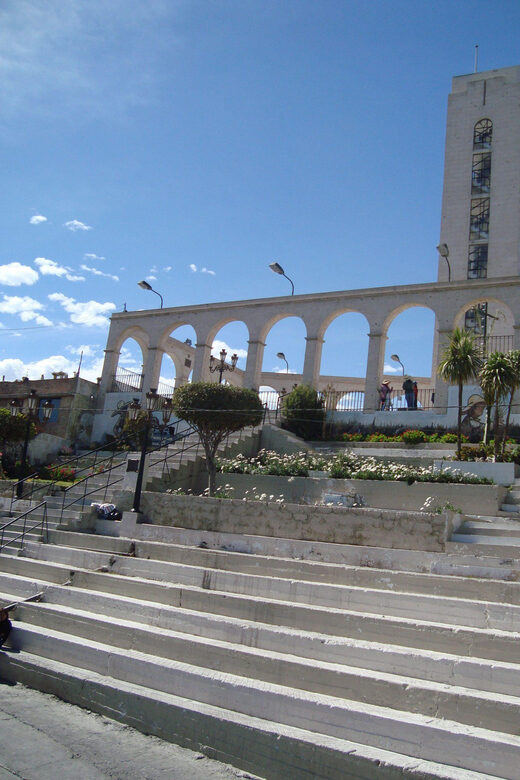 Arequipa Tour + Alpaca World - Who Will Appreciate This Tour?