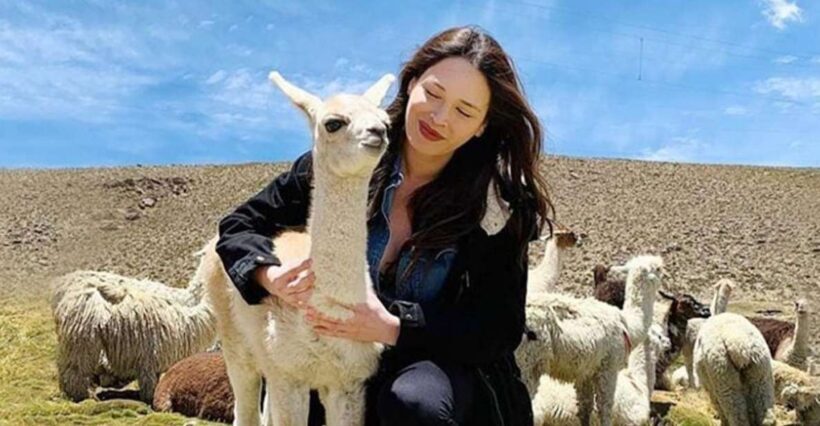 Arequipa: trekking to the Colca Canyon 2 days/1 night - What Travelers Are Saying