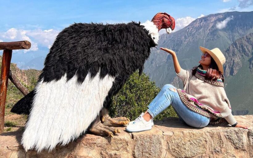 Arequipa: trekking to the Colca Canyon 2 days/1 night - Is This Tour Right for You?