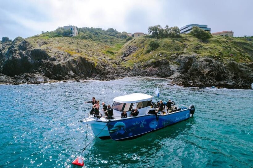 Argelès-sur-Mer : first dive in the Marine Natural Park - Why We Think This Tour Offers Great Value