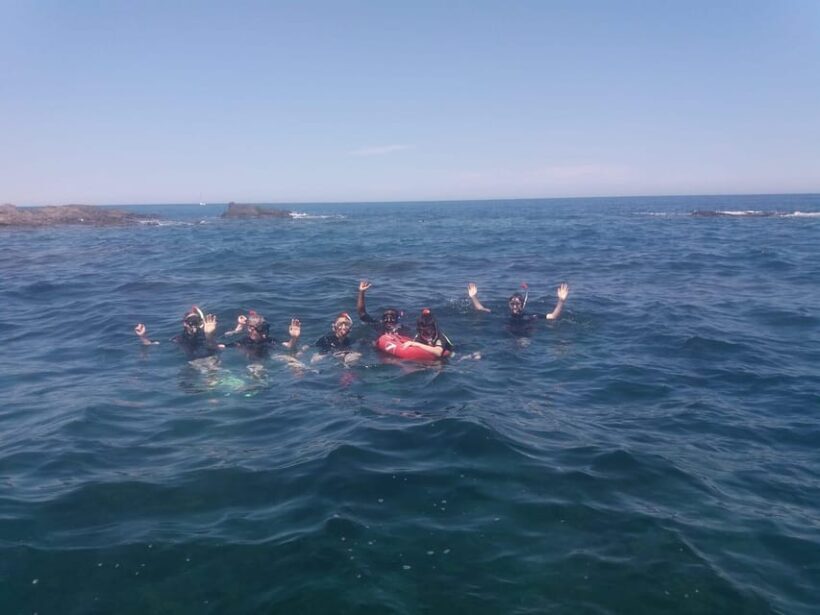 Argelès-sur-Mer: snorkeling into the Marine Natural Park - The Meeting Points and Timing